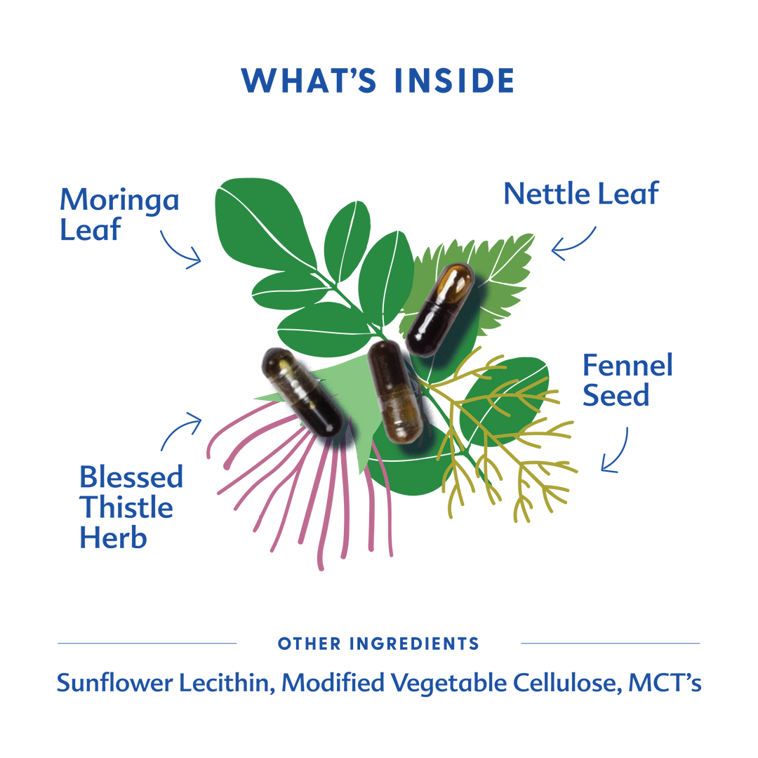 More Milk® Moringa Capsules | Motherlove – Motherlove Herbal Company